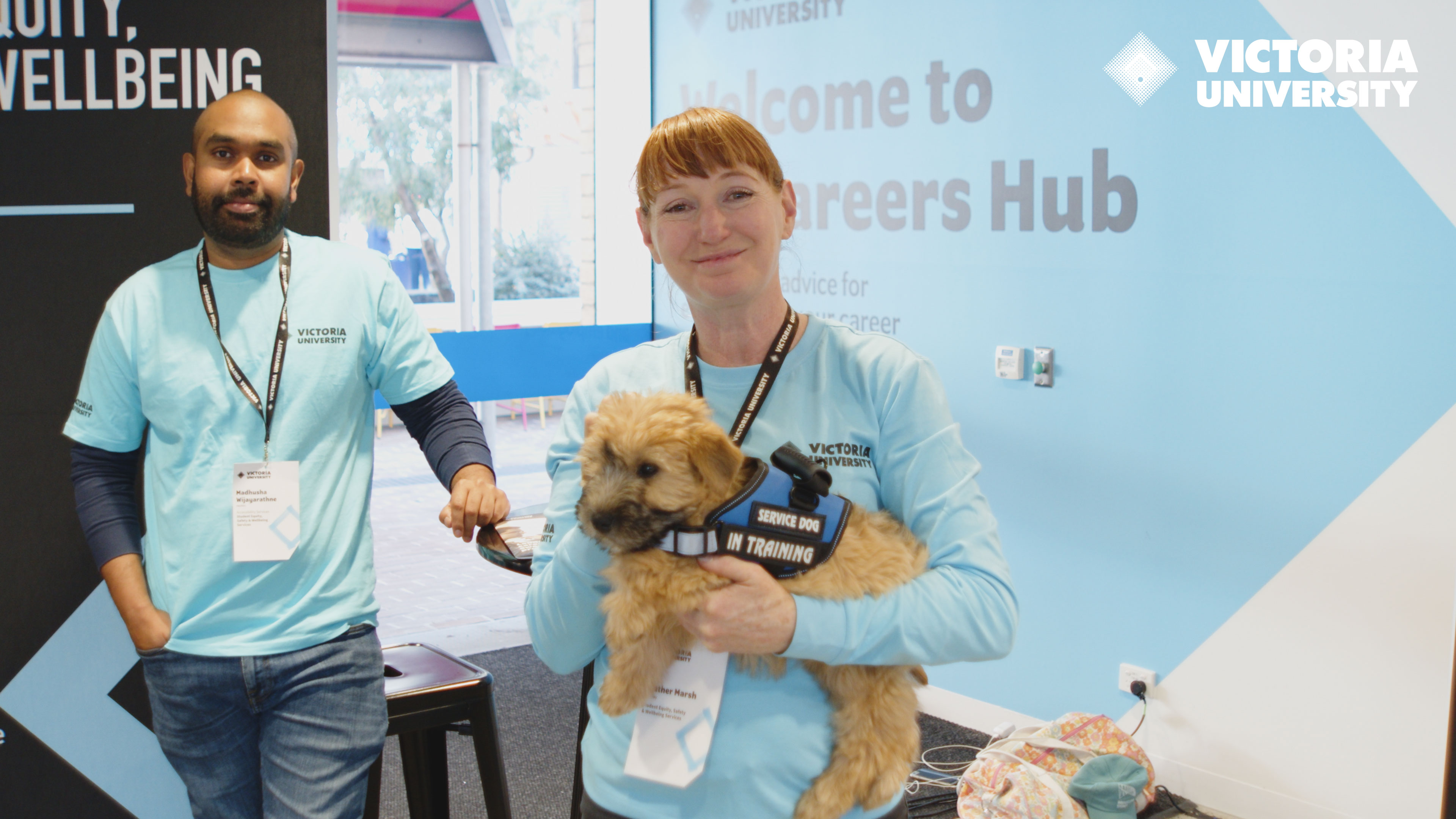 Meet Clover – our therapy dog in training | Victoria University