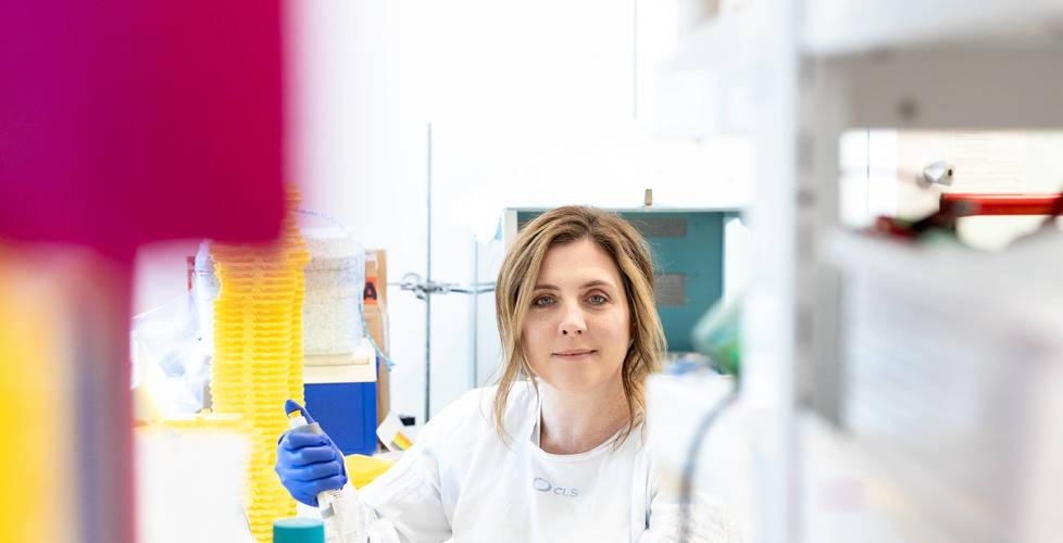 Victoria Uni Researchers Secure Major Health Grants | Mirage News