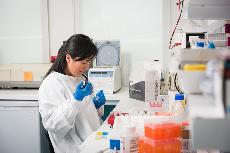 Master of Applied Research | Victoria University