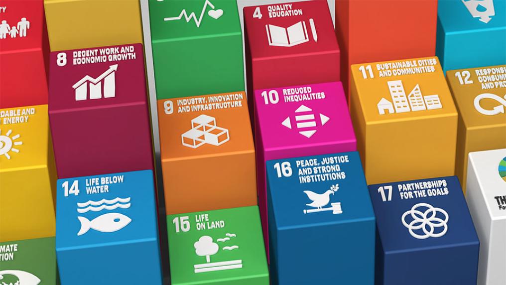 The intersection of Sustainable Development Goals (SDGs) & technology ...
